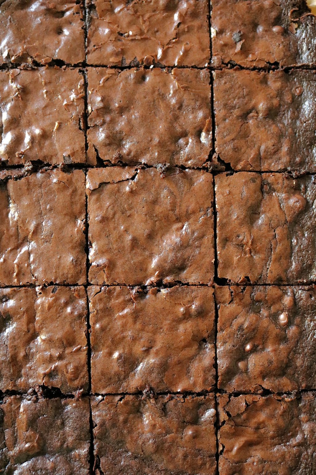 The Best Fudgy Cocoa Brownies (Easy Homemade Recipe) - Kindly Unspoken